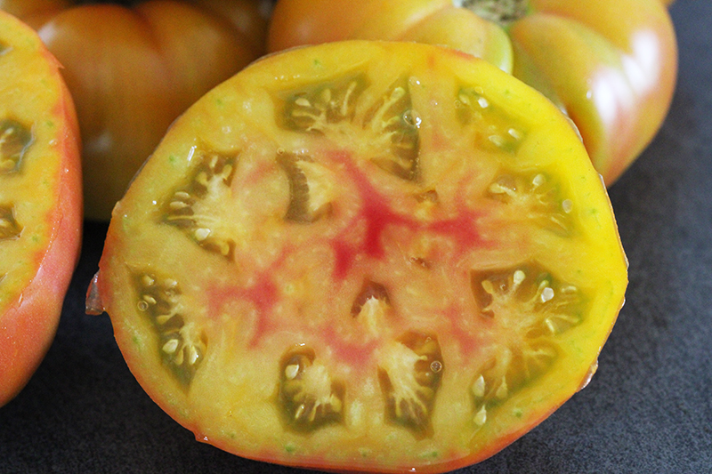 Tomate Ananas Bio - Atelier des Bons Plants Plants et semences Bio.