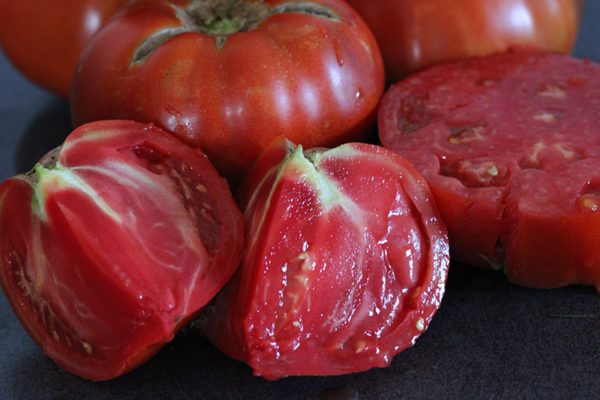 Tomate russe Bio. Semis & plants. L'Atelier des Bons Plants