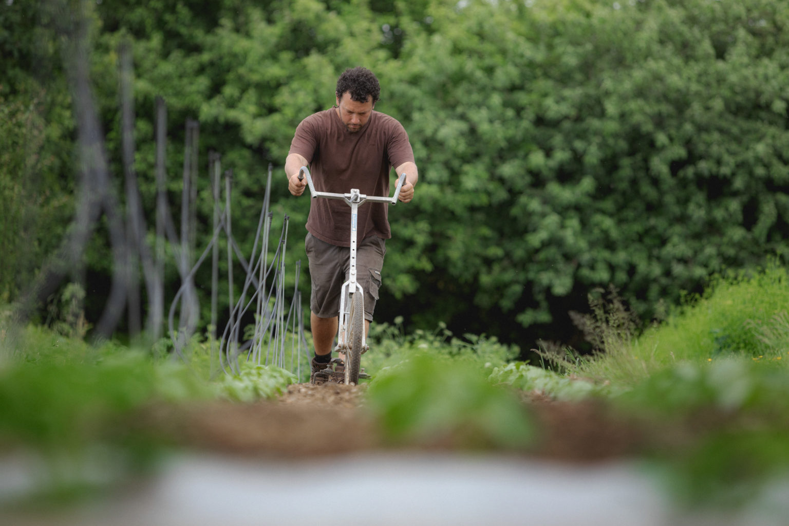 Plants, graines et semences bio : Atelier des bons plants