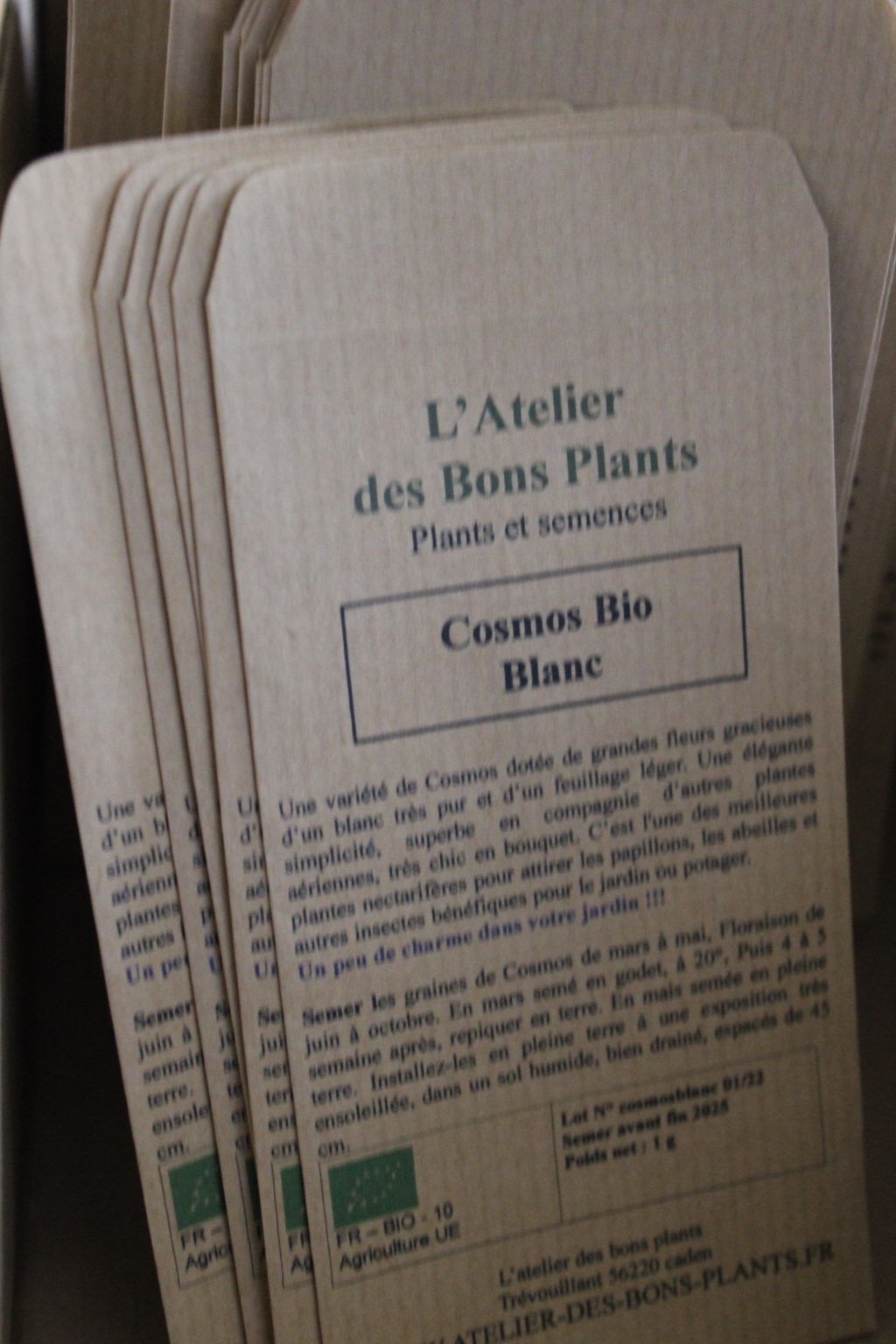 Plants, graines et semences bio : Atelier des bons plants